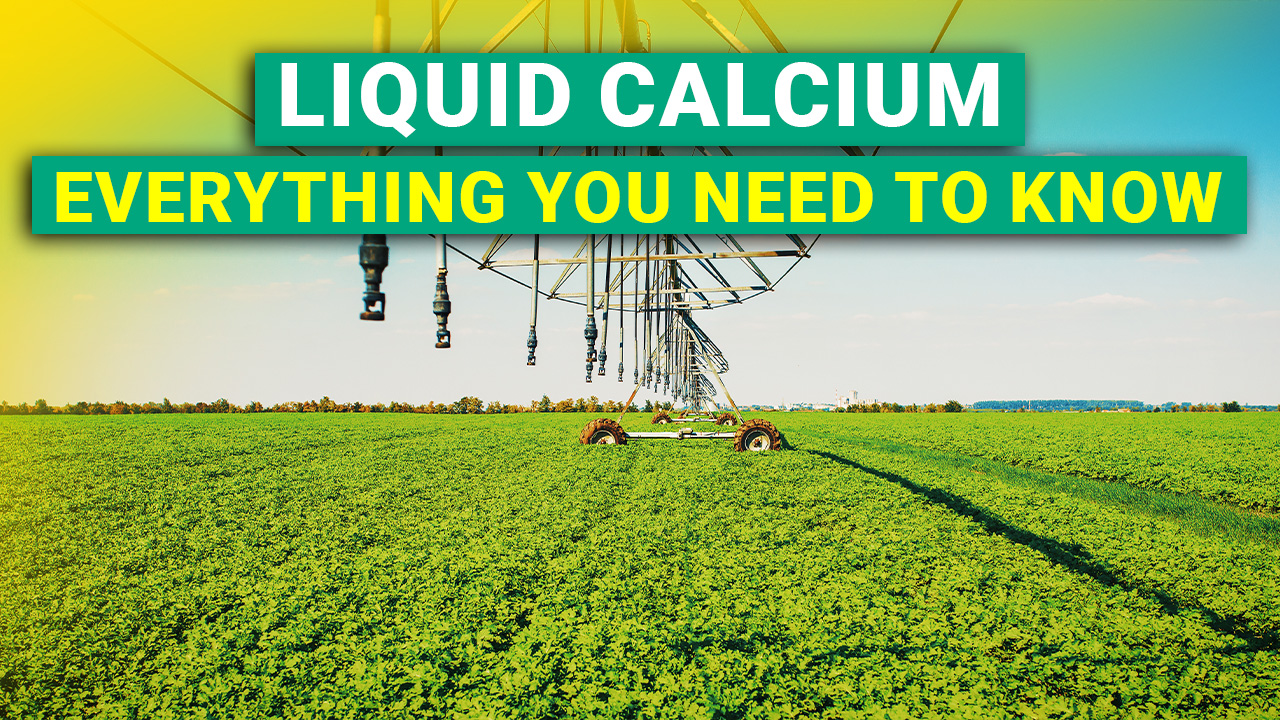 Liquid Calcium: Everything You Need, Nothing You Don't | AgriTec Liquid ...