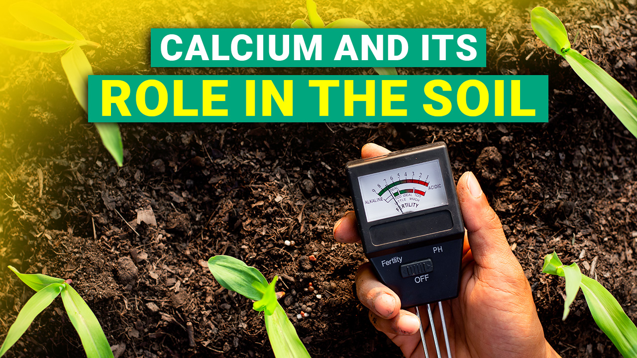 Calcium and its role in the soil | AgriTec Liquid Calcium Fertilizer