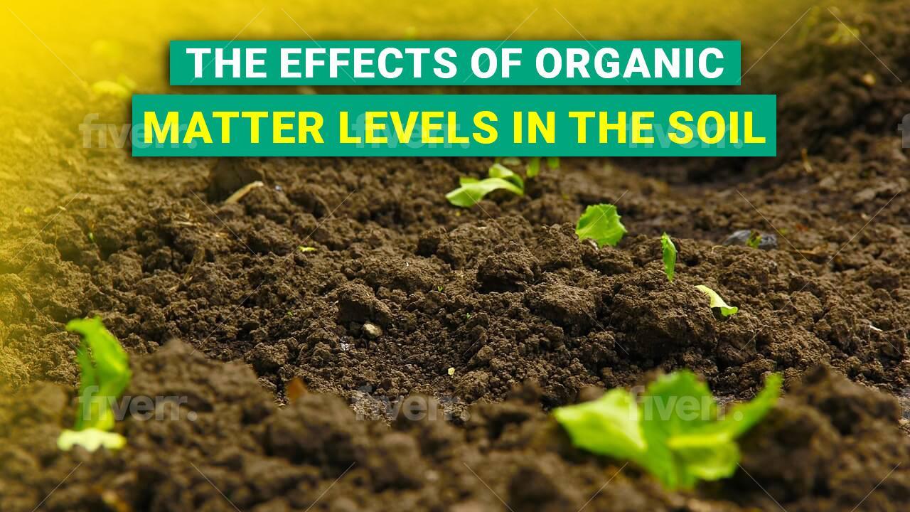 The Effects of Organic Matter Levels in the Soil | AgriTec Liquid ...