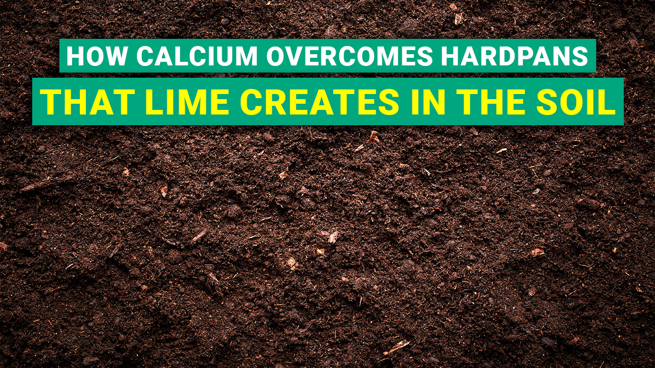 How Calcium Overcomes Hardpans that Lime Creates in the Soil | AgriTec ...