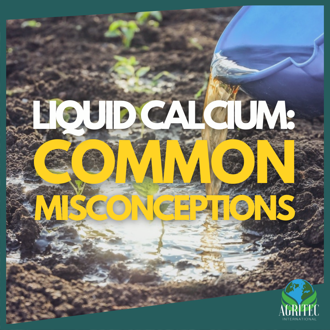 Common Misconceptions About Liquid Calcium Applications in Agriculture ...