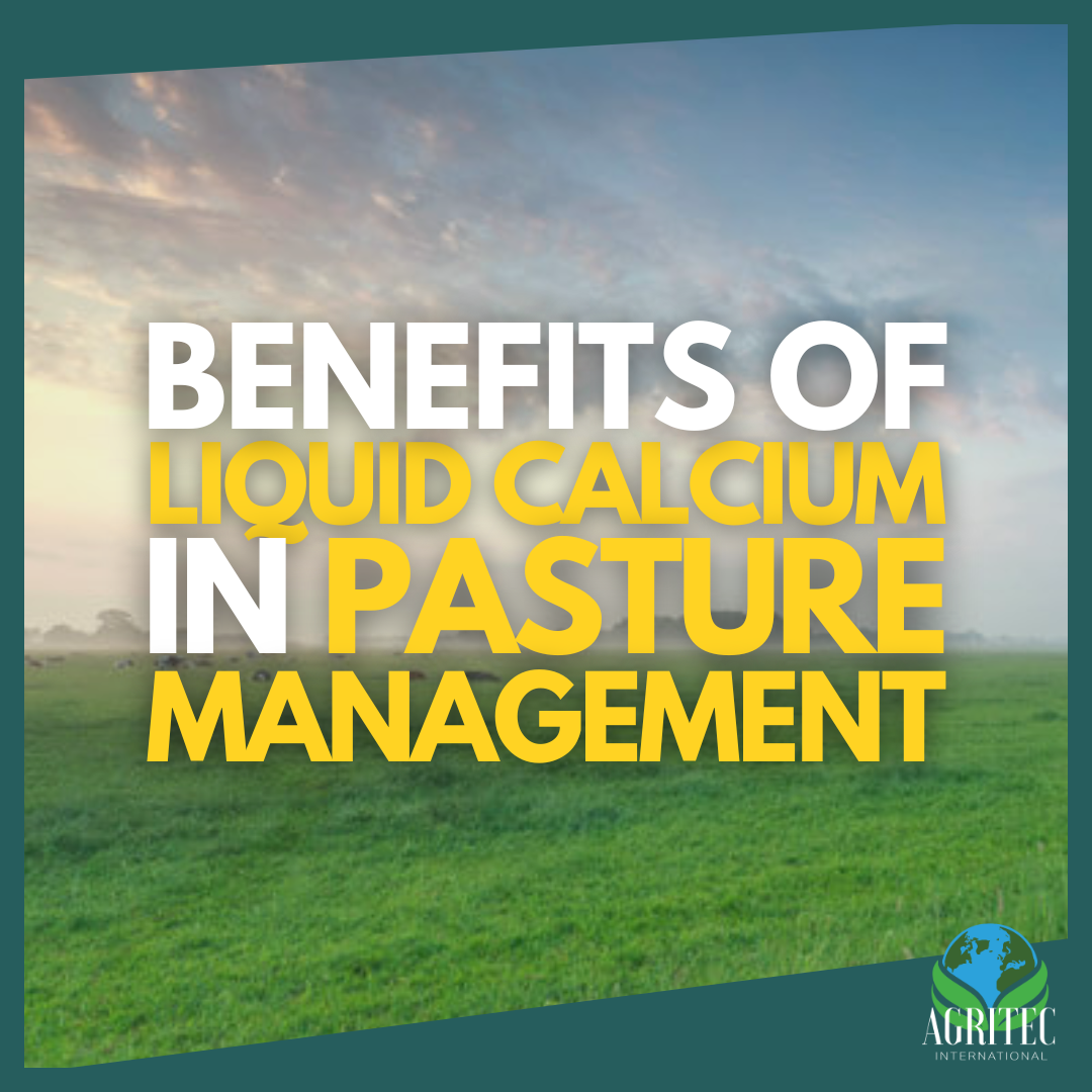 Benefits of Liquid Calcium in Pasture Management | AgriTec Liquid ...