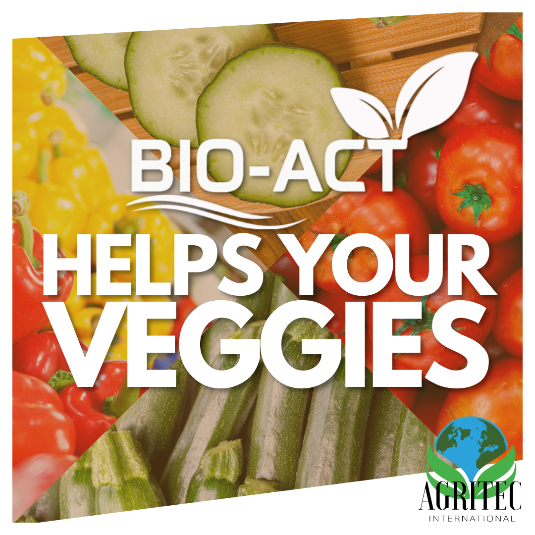 Bio-Act Helps Your Veggies | AgriTec Liquid Calcium Fertilizer