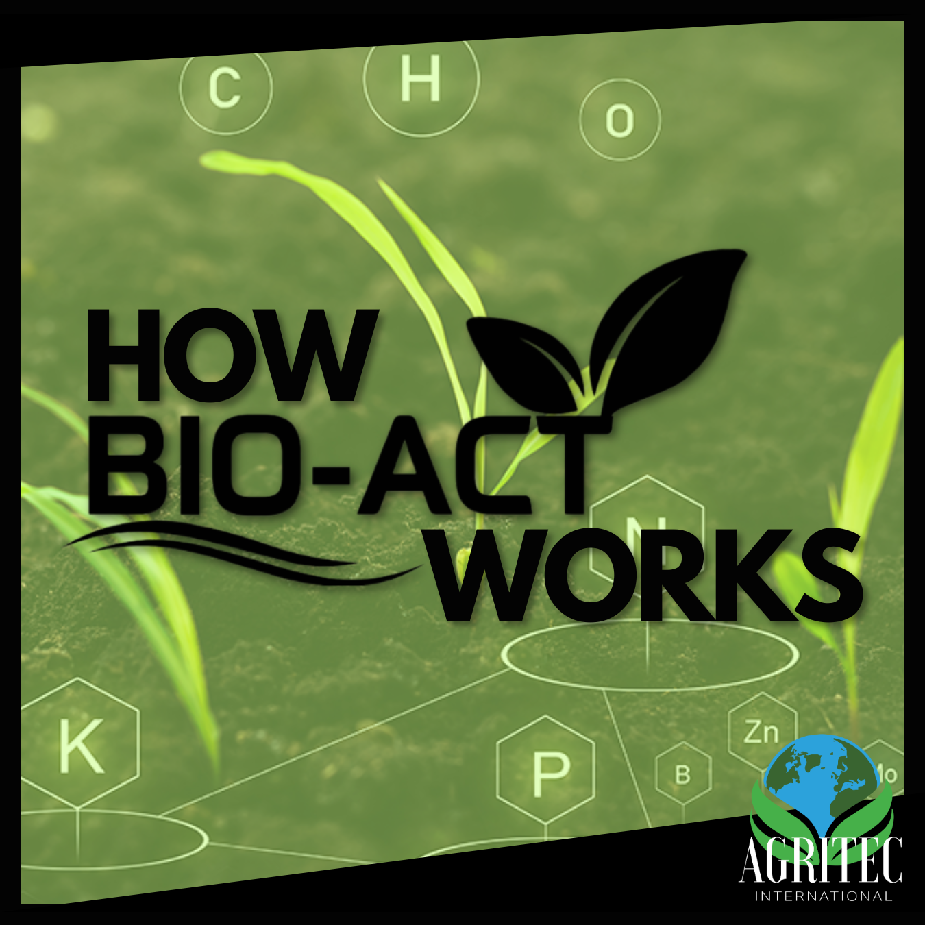 How BIO-ACT Works | AgriTec Liquid Calcium Fertilizer