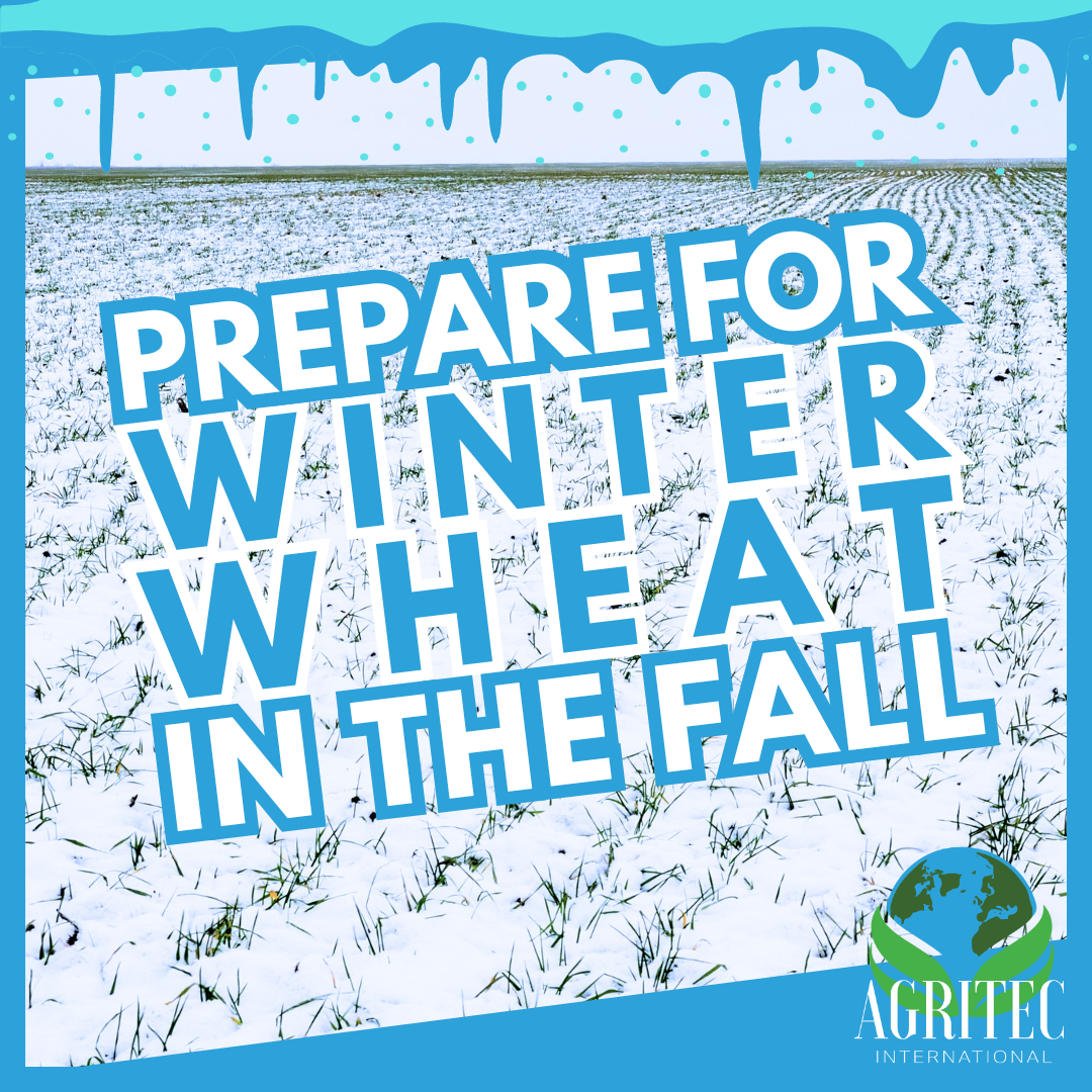 Prepare for Winter Wheat in the Fall | AgriTec Liquid Calcium Fertilizer