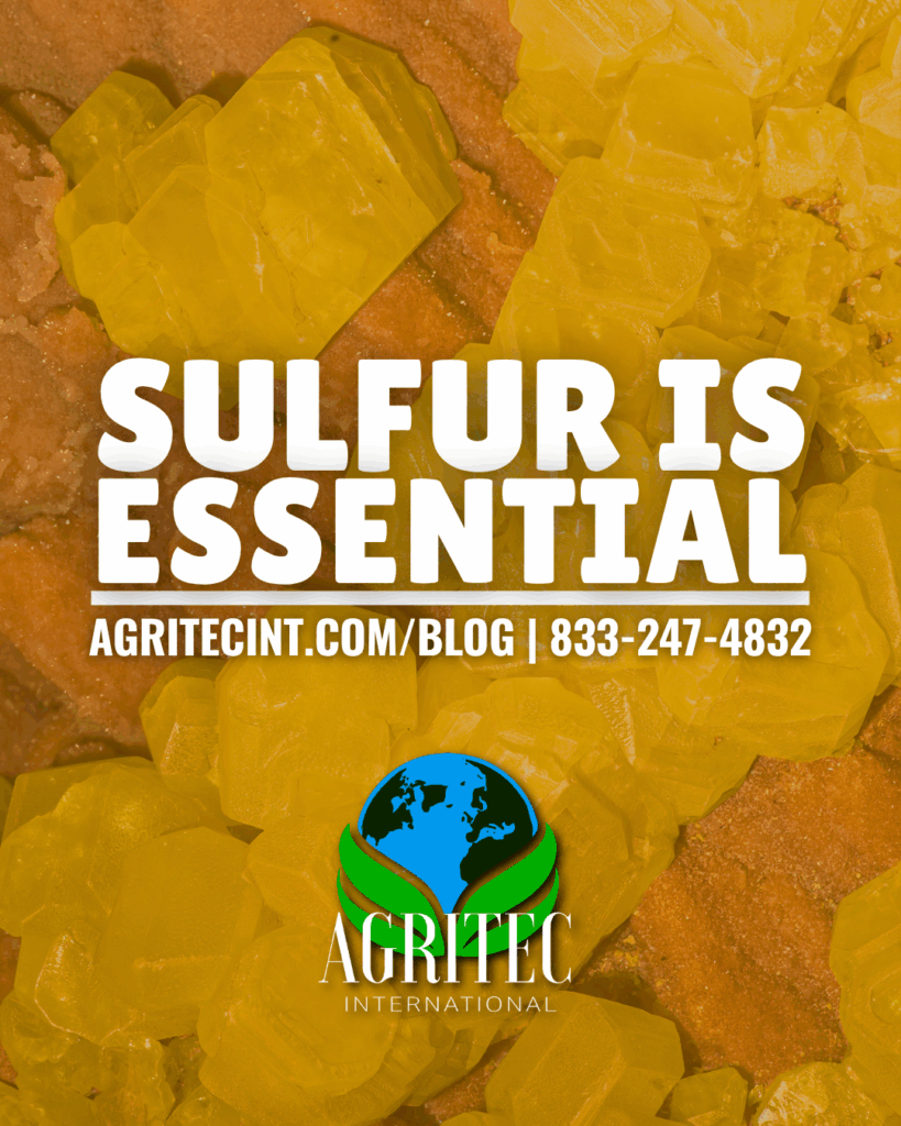 Sulfur Is Essential in Farm Fertility Programs | AgriTec Liquid Calcium ...