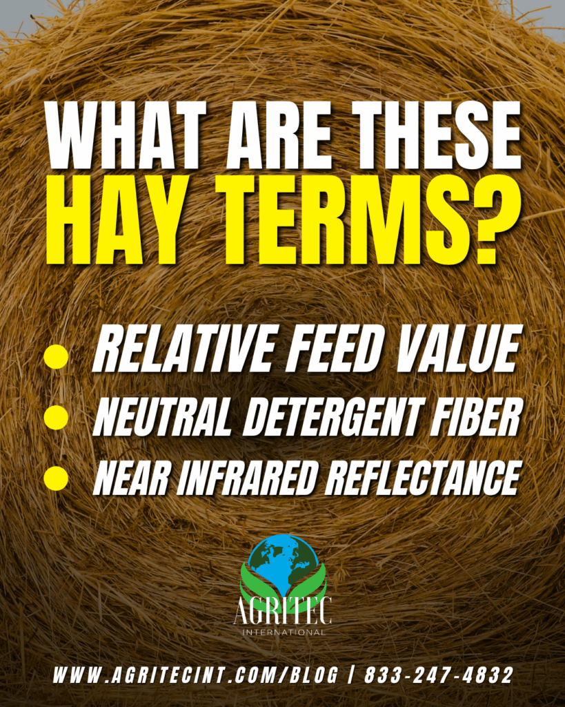 Hay Terminology Explained | AgriTec Liquid Calcium Fertilizer